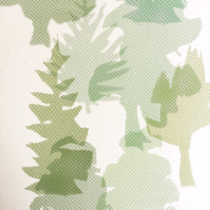 Lost in the Forest - The Red Door Gallery