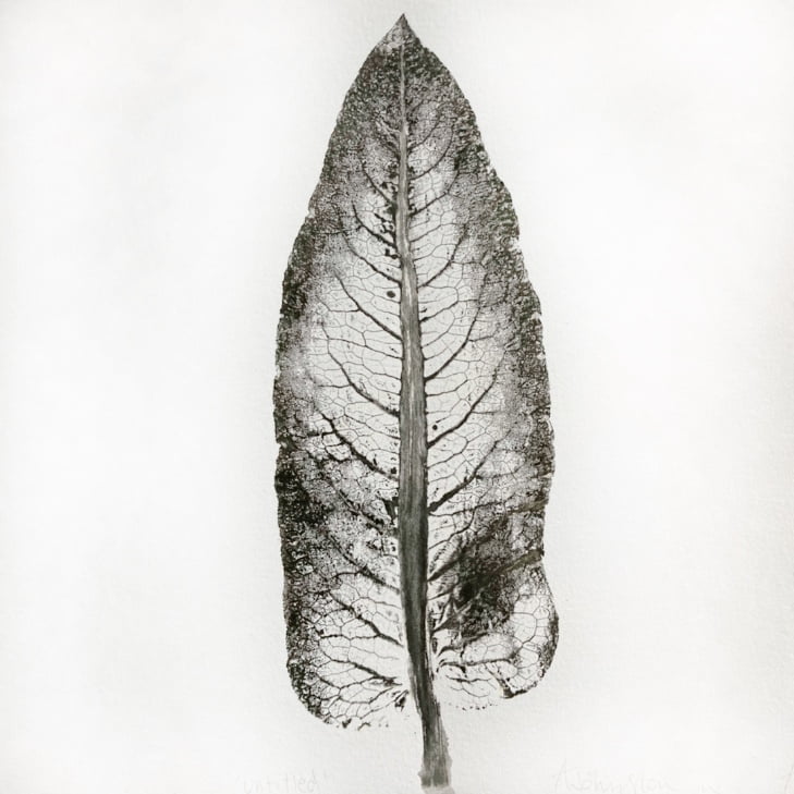 Doc Leaf 1- A5 print | The Red Door Gallery