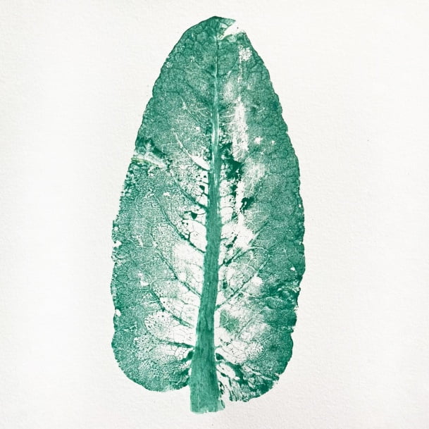 Doc Leaf 3- A5 print - Flowers & Botanical, Lino, Letterpress & Paper ...