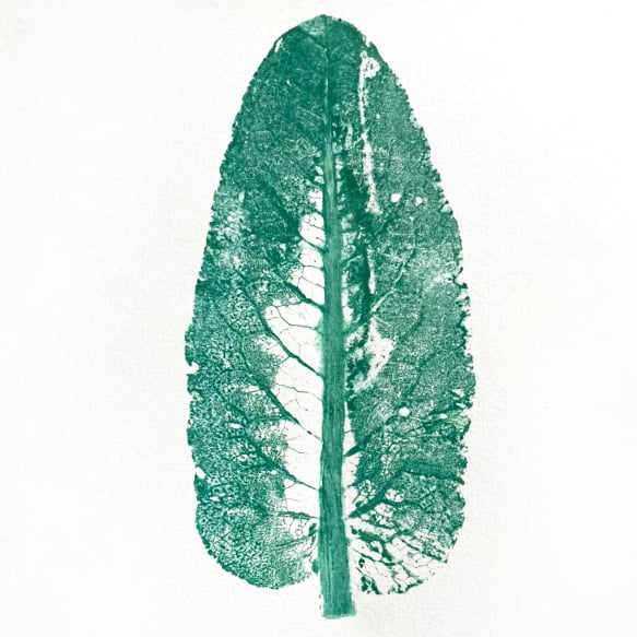 The Red Door Gallery