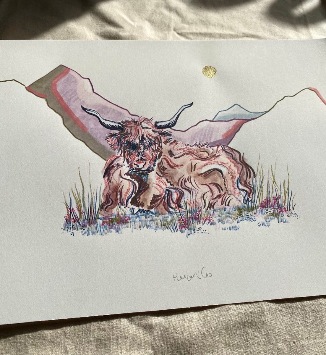 Heilan’ Coo A4 print | The Red Door Gallery