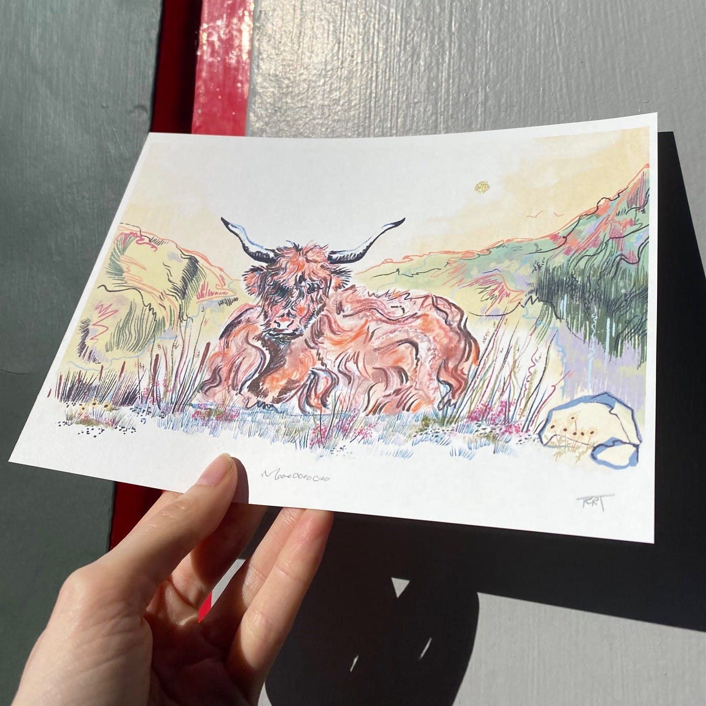 Moooooooo A5 print | The Red Door Gallery